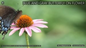 Change Windows 8 Lock Screen With LockPic App - TechnoBuzz | How to Android Guides, Tips